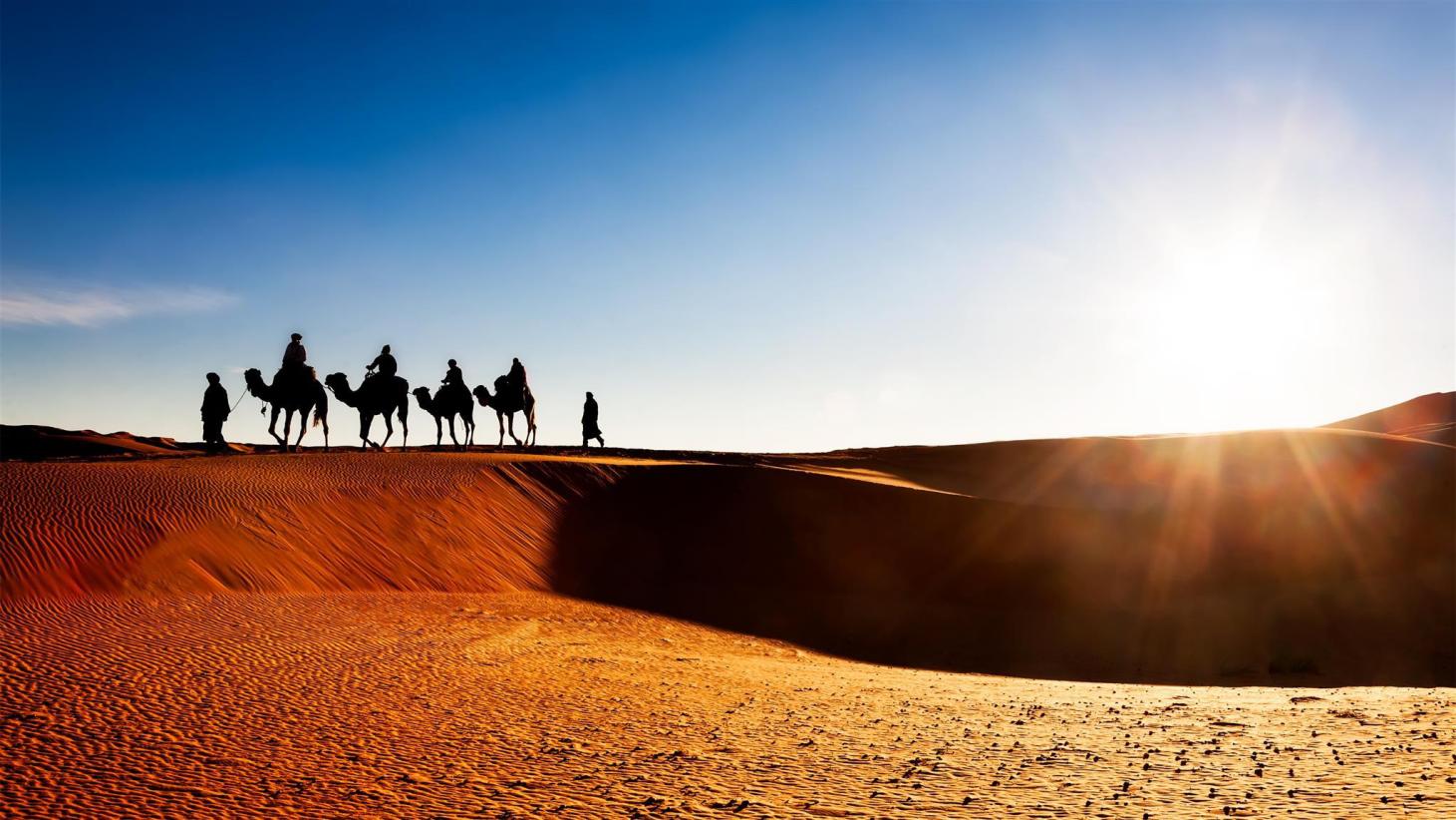 #1 MARRAKECH DESERT TOURS - Marrakech City Life - Morocco Tours